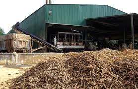 Impor 2017 Bisa Satu Juta Ton, Beberapa Pabrik Tapioka Mulai Ditutup ...